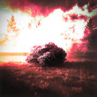 Слушать альбом Май исполнителей seldent., Nightkiss – 2 треков, ~ 3 мин ...