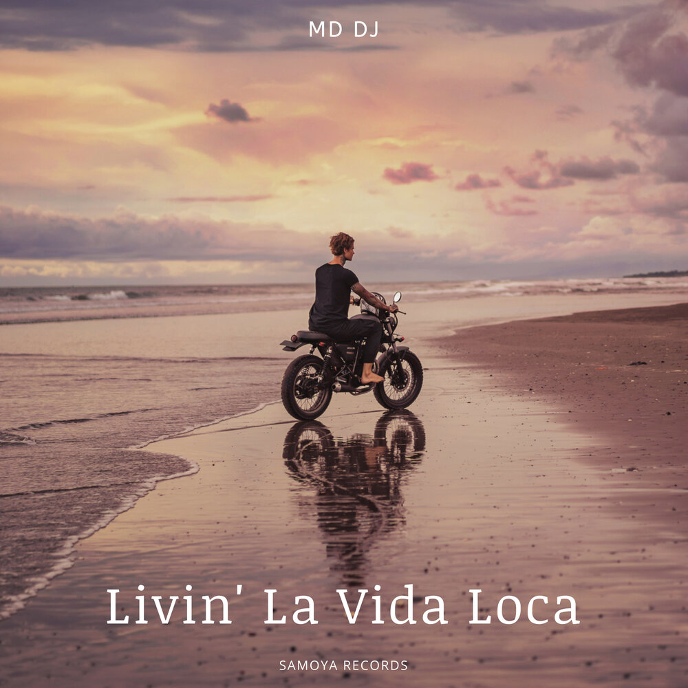 Livin' La Vida Loca MD Dj слушать онлайн на Яндекс Музыке