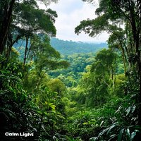 Альбом Ambient Music, Pt. 2 (Calm Light) слушать онлайн на МТС Музыке ...