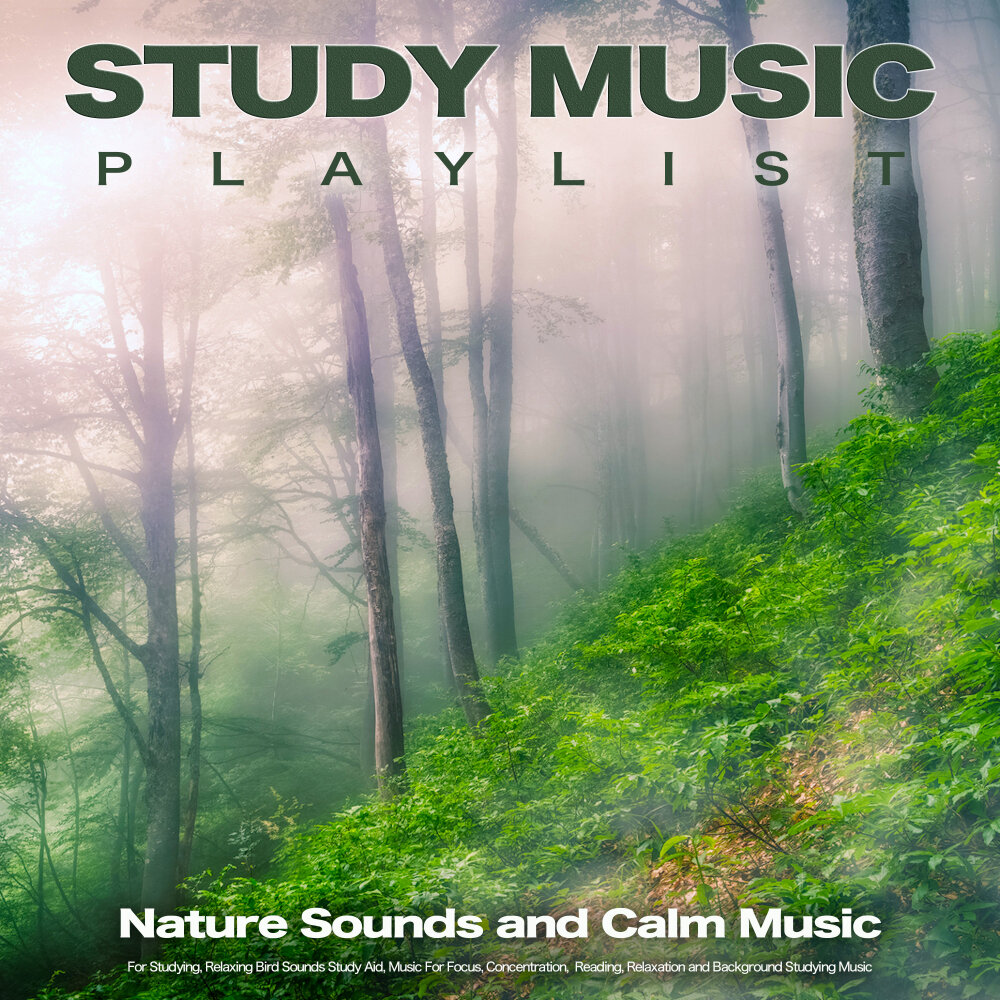 Studying Music, Study Playlist, Study Music альбом Study Music Playlist: Nature Sounds and Calm ...