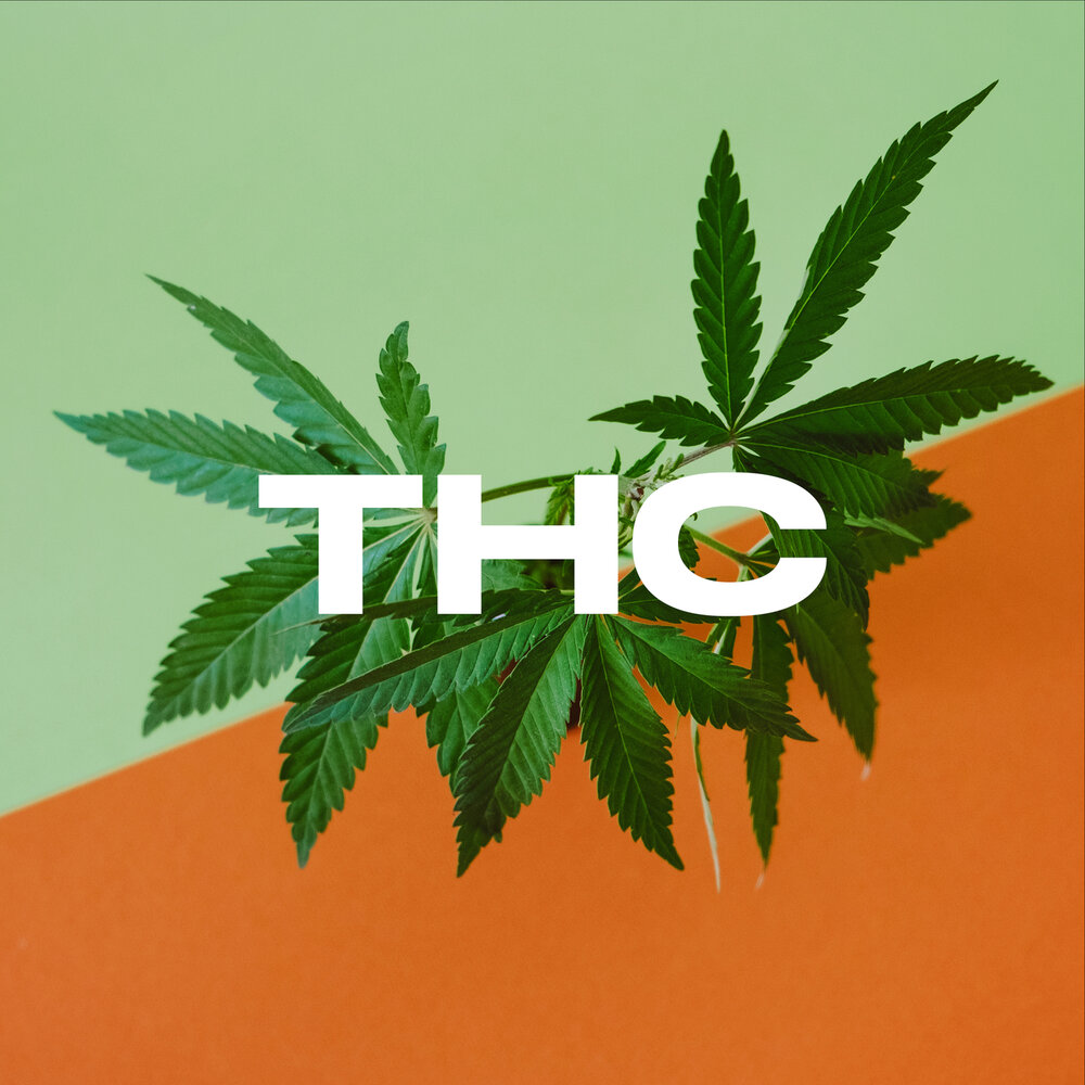 Альбом THC: The Hits Collection слушать онлайн бесплатно на Яндекс ...