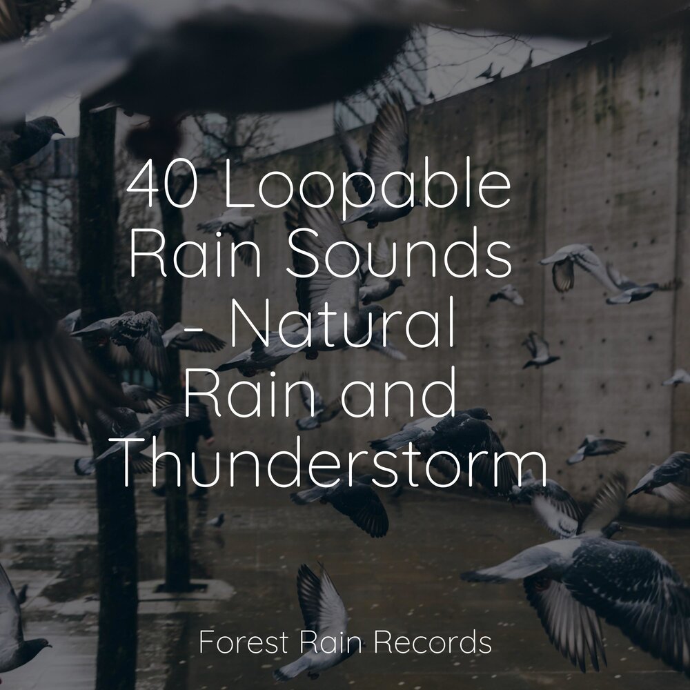Chillout Lounge, Nature Sound Collection, Classical Lullabies альбом 40 ... Chillout Lounge, Nature Sound Collection, Classical Lullabies альбом 40 ...