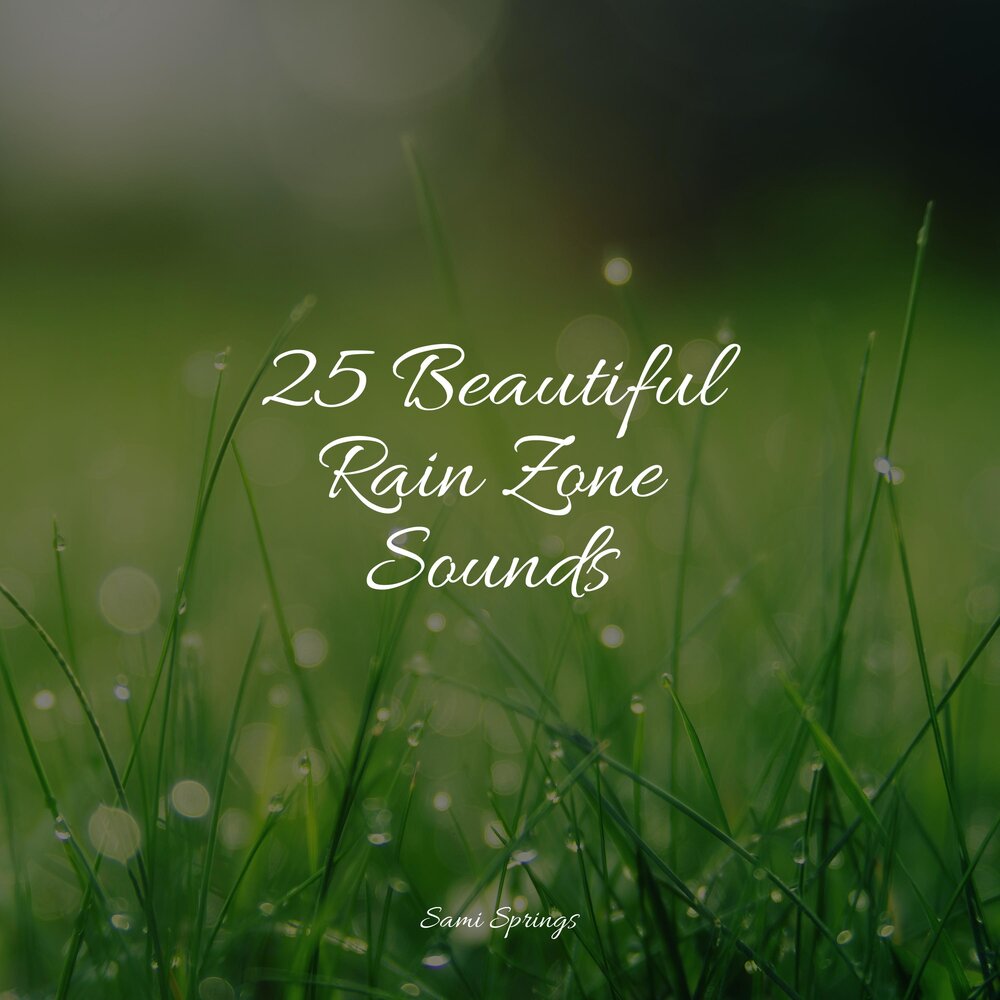Asian Zen Spa Music Meditation Mindfulness Meditation Universe Rain